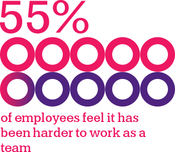 The Future of Work Report | Talent Insight Group