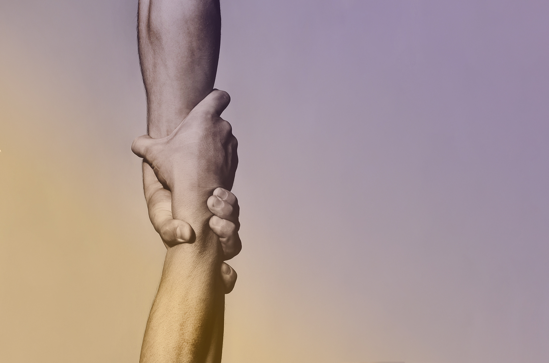 Articles | Talent Insight Group